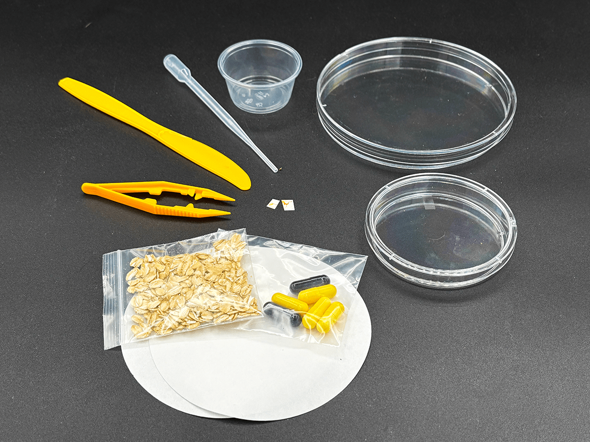 Collector Blob Kit - Living Slime - Physarum polycephalum – Liquid Fungi