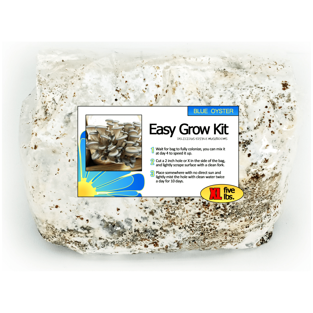 Mushroom Easy Grow Kits – Liquid Fungi